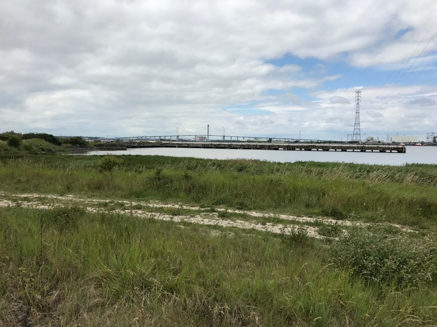 Exploring Swanscombe Peninsula: From major cement plant to ...