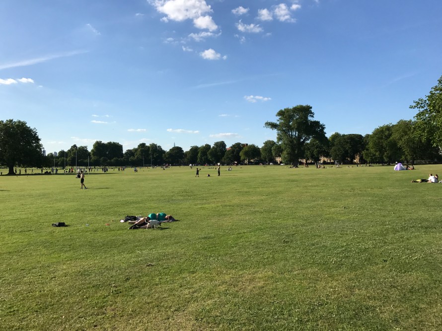 Tracing the River Peck’s course: From Royal tree to the Thames – Past ...